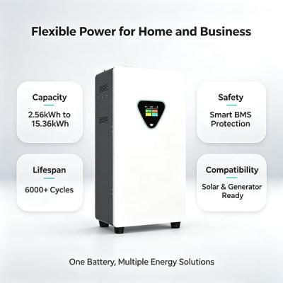 China 8000 Cycles LiFePO4 Home Backup Battery 51.2V 205Ah 10.496kWh Solar Energy Storage for Blackout Emergency Power for sale