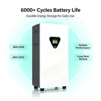 China Long Life 15-Year Service Lithium Battery 6000–8000 Cycles 25.6V 205Ah 5248Wh Residential Solar Energy Pack for sale