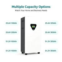 China Long Life 15-Year Service Lithium Battery 6000–8000 Cycles 25.6V 205Ah 5248Wh Residential Solar Energy Pack for sale