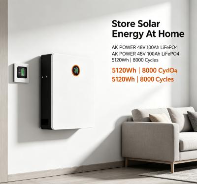 China 48V 100Ah LiFePO4 Battery with BMS Protection and 8000 Cycles for Home Battery Storage for sale