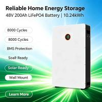 China 15kWh 48V 300Ah LiFePO4 Wall-Mount Home Battery – OEM/ODM Ready 8000 Cycle for sale