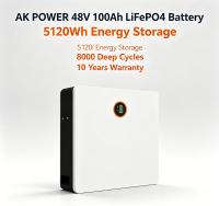 China 51.2V 100Ah Wall Mount LiFePO4 Battery 5.12kWh | 8000 Cycles Home Solar Storage 10Y Warranty for sale