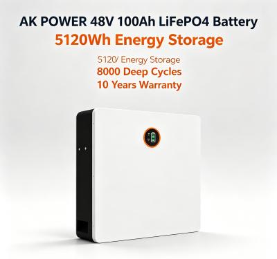 China 51.2V 100Ah Wall Mount LiFePO4 Battery 5.12kWh | 8000 Cycles Home Solar Storage 10Y Warranty for sale