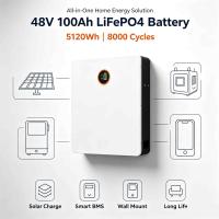 China 48V Wall Mount Lithium Battery Optional Bluetooth Mobile App Monitor SOC Temperature Data for sale