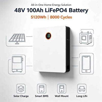 China 48V Wall Mount Lithium Battery Optional Bluetooth Mobile App Monitor SOC Temperature Data for sale
