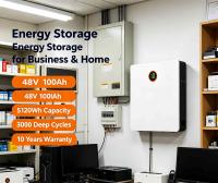 China Long Life 8000 Cycles LiFePO4 Wall Battery 5.12kWh Indoor Garage Wall Mount Design for sale