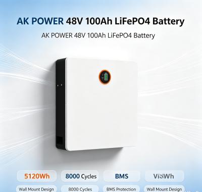 China 48V 100Ah Wall Mount Lithium Iron Phosphate Battery CE UN38.3 Certified Global Shipping for sale