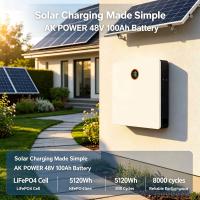 China Space-Saving Slim Wall Power Storage Battery 51.2V 100Ah Home Solar Panel Backup System for sale