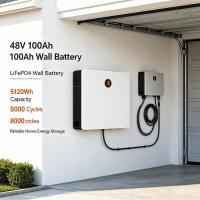 China Wall Mount 5.12kWh Lithium Battery CAN RS485 Bluetooth For Hybrid Solar Inverters for sale