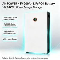 China 51.2V 200Ah Wall LiFePO4 Battery 400A Peak 3S Discharge Heavy Load Home Solar Power Backup System for sale