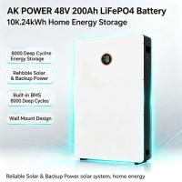 China 8000 Deep Cycle 51.2V 200Ah LiFePO4 Wall Battery Smart BMS Home Solar Power Backup 10 Year Warranty for sale