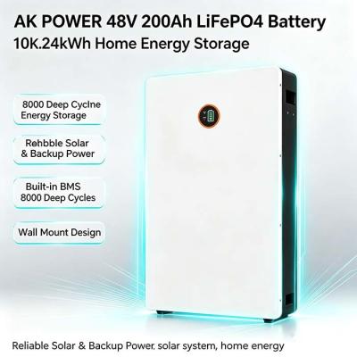 China 8000 Deep Cycle 51.2V 200Ah LiFePO4 Wall Battery Smart BMS Home Solar Power Backup 10 Year Warranty for sale