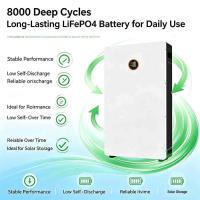 China Multi-Source Charging LiFePO4 Powerwall 51.2 V 200Ah Solar Panel Generator Grid Charging Battery for sale