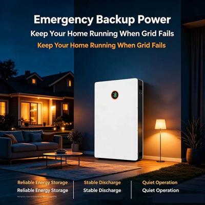China Smart BMS Protected 10.24kWh Powerwall 48V 200Ah LiFePO4 Battery Off-Grid House Solar Backup Power for sale