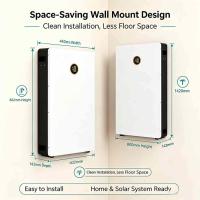 China CE UL UN38.3 Certified 51.2V 200Ah Powerwall LiFePO4 Battery For Global Home Solar Storage Use for sale