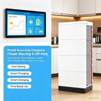 China 30.72kWh Max Stackable LiFePO4 Battery 10-Year Support For Home Solar Project for sale