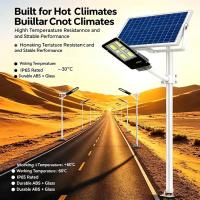 China Off Grid No Electricity Cost Solar Street Light for Farm Park Pathway Lighting for sale