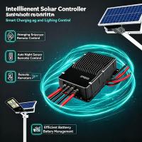 China Off Grid No Electricity Cost Solar Street Light for Farm Park Pathway Lighting for sale