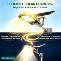 China 1600 Sq.Ft Wide Lighting Solar Street Light 30ft Human Detection Outdoor Light for sale