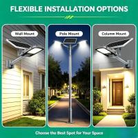 China High Conversion Solar Panel Street Light MPPT Charge Controller Efficient Lighting for sale