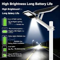 China Long Lifespan Lithium Battery Solar Street Light Rural Countryside Public Light for sale
