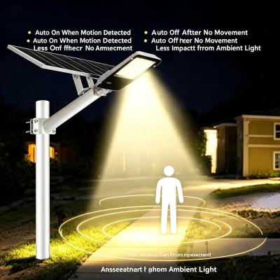 China Solar Powered Highway Street Light Dusk Till Dawn Auto Working Village Lamp for sale