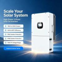 China Parallel 1-9 Units Three Phase Hybrid Solar Inverter Home Commercial Off Grid System for sale