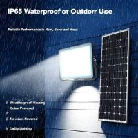 China Solar Courtyard Light IP65 Waterproof LED Dusk to Dawn Auto Outdoor Yard Pathway Security Lamp for sale