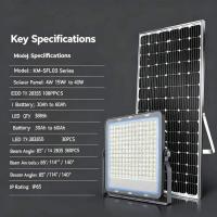 China Outdoor Solar Powered Courtyard Light Remote Control IP65 Waterproof Garden Driveway LED Lighting for sale