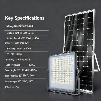 China Outdoor Solar Powered Courtyard Light Remote Control IP65 Waterproof Garden Driveway LED Lighting for sale