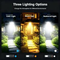 China Outdoor Solar Powered Courtyard Light Remote Control IP65 Waterproof Garden Driveway LED Lighting for sale