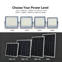 China IP65 Waterproof Solar LED Courtyard Light Auto On Off Dusk Dawn Backyard Villa Yard Security Light for sale