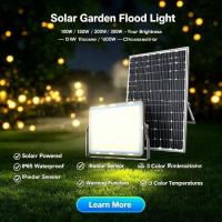 China 6500K Daylight Solar Courtyard Light IP65 Waterproof Auto Sensor Yard Walkway LED Light for sale