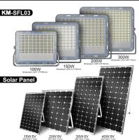 China Long Lasting Lithium Battery Solar Courtyard Light Rainy Days Backup Outdoor Garden Lamp for sale