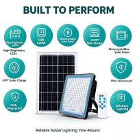 China Solar Yard Lights High Efficiency LED Outdoor Courtyard Landscape Solar Lighting for sale