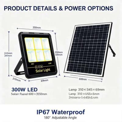 China Long Lasting Solar LED Yard Light Weather Resistant Outdoor Garden Entrance Lighting for sale