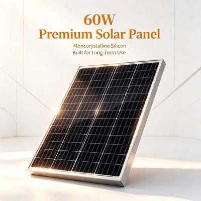China Compact 60W Monocrystalline PV Module IP67 Junction Box MC4 Connector For Camper Van Garden Shed Power for sale