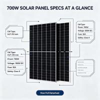 China Commercial‑Grade 700W Bifacial Solar Module, Class‑1 Fire Safety for Rooftop Use for sale
