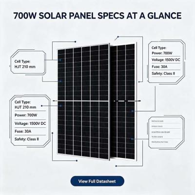 China Commercial‑Grade 700W Bifacial Solar Module, Class‑1 Fire Safety for Rooftop Use for sale