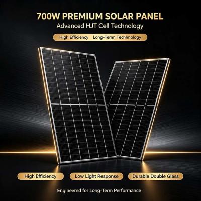 China Utility‑Farm 700‑Watt Bifacial Solar Panel, 132‑Cell HJT High‑Efficiency PV Panel for sale