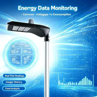 China Smart City Retrofit LED Street Light, LoRaWAN Wireless Control, Upgrade Traditional Street Poles for sale