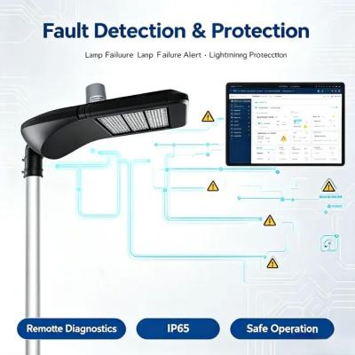 China Waterproof IP65 LoRaWAN Smart Street Lamp, Lightning Protection, Harsh Outdoor Environment Use for sale