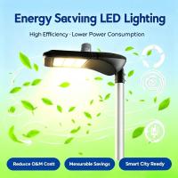 China High‑Performance Smart LoRa LED Road Lamp, Dialux Lighting Design Support, Government Road Projects for sale