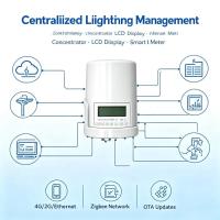 China Professional Smart Street Lighting System, LoRaWAN Terminal‑Gateway‑Cloud Full Solution Provider for sale