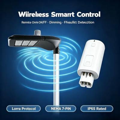 China Smart DALI‑Dimmable LED Street Light, LoRa Single Lamp Controller, Smart Village Lighting Project for sale