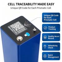 China 3.2V 100Ah CATL Lithium Iron Phosphate Prismatic Cell, Low AC Impedance Lithium Battery for Series‑Parallel Battery Pack Build for sale