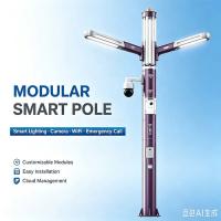 China Integrated Smart Street Light Pole for City and Public Area Projects for sale