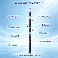 China Outdoor LED Smart Pole with Camera, WiFi, SOS and Public Lighting for sale