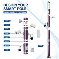 China Smart Street Light Pole with Remote Management and Cloud Platform for sale