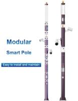 China Smart Street Light Pole with Remote Management and Cloud Platform for sale